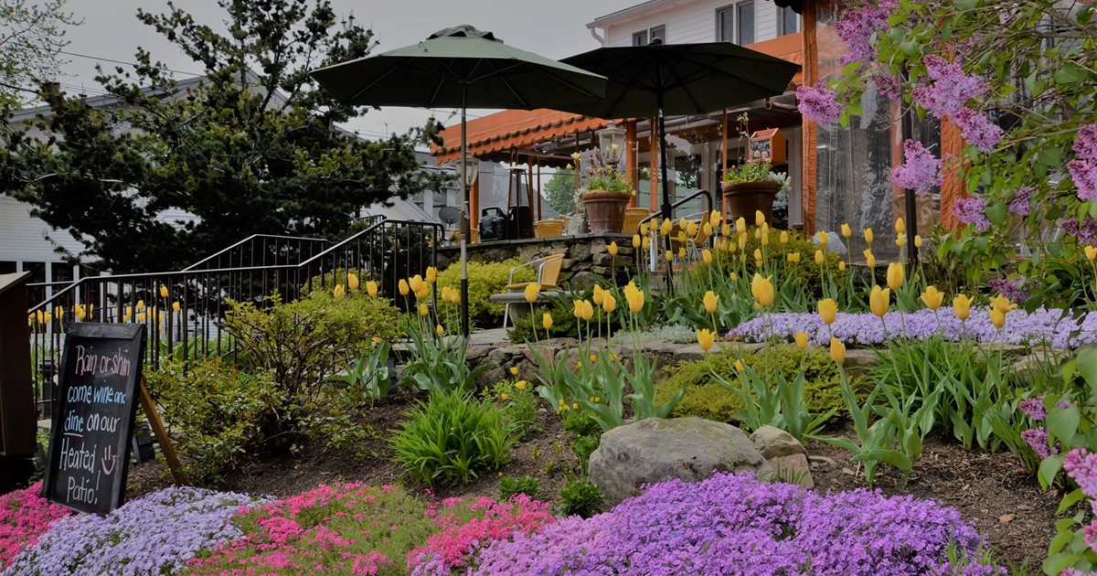 Contact Us | Cafe Prego